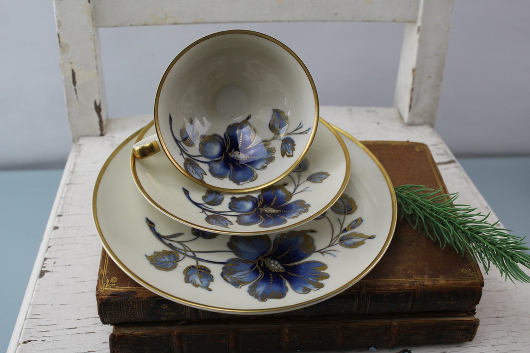 Porcelain Alka Bavaria Coffee Service Cake Plate Coffee Cup Saucer Tea ...