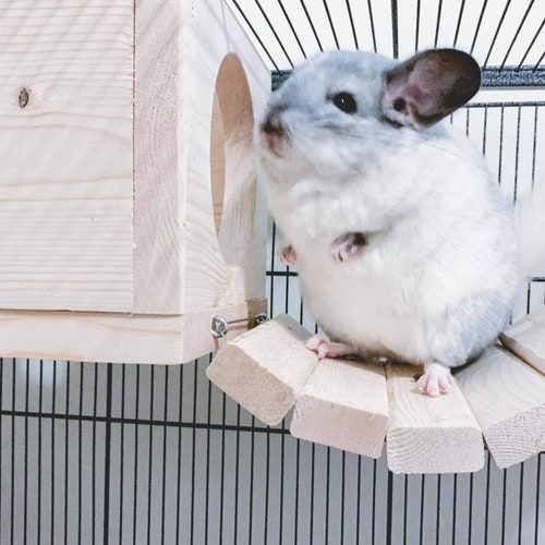 Wood Bridge Ramp Step Ledge Swing With Perch for Chinchilla | Etsy