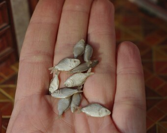Miniature fish | Etsy