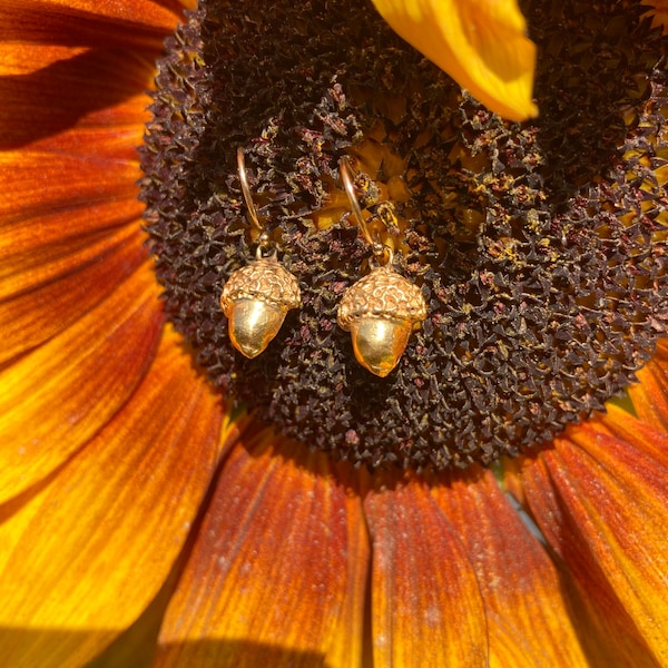 Acorn Earrings - Etsy