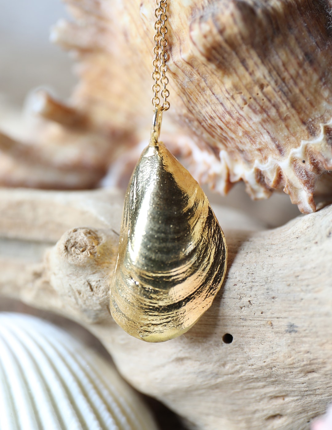 Gold Holkham Mussel Necklace, Norfolk, Shell Necklace, Gift, Artisan ...