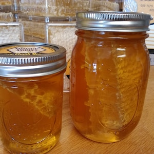 Raw Honey With Honeycomb Chunk - Half Pint Mason Jar (10.5 Oz) - Etsy