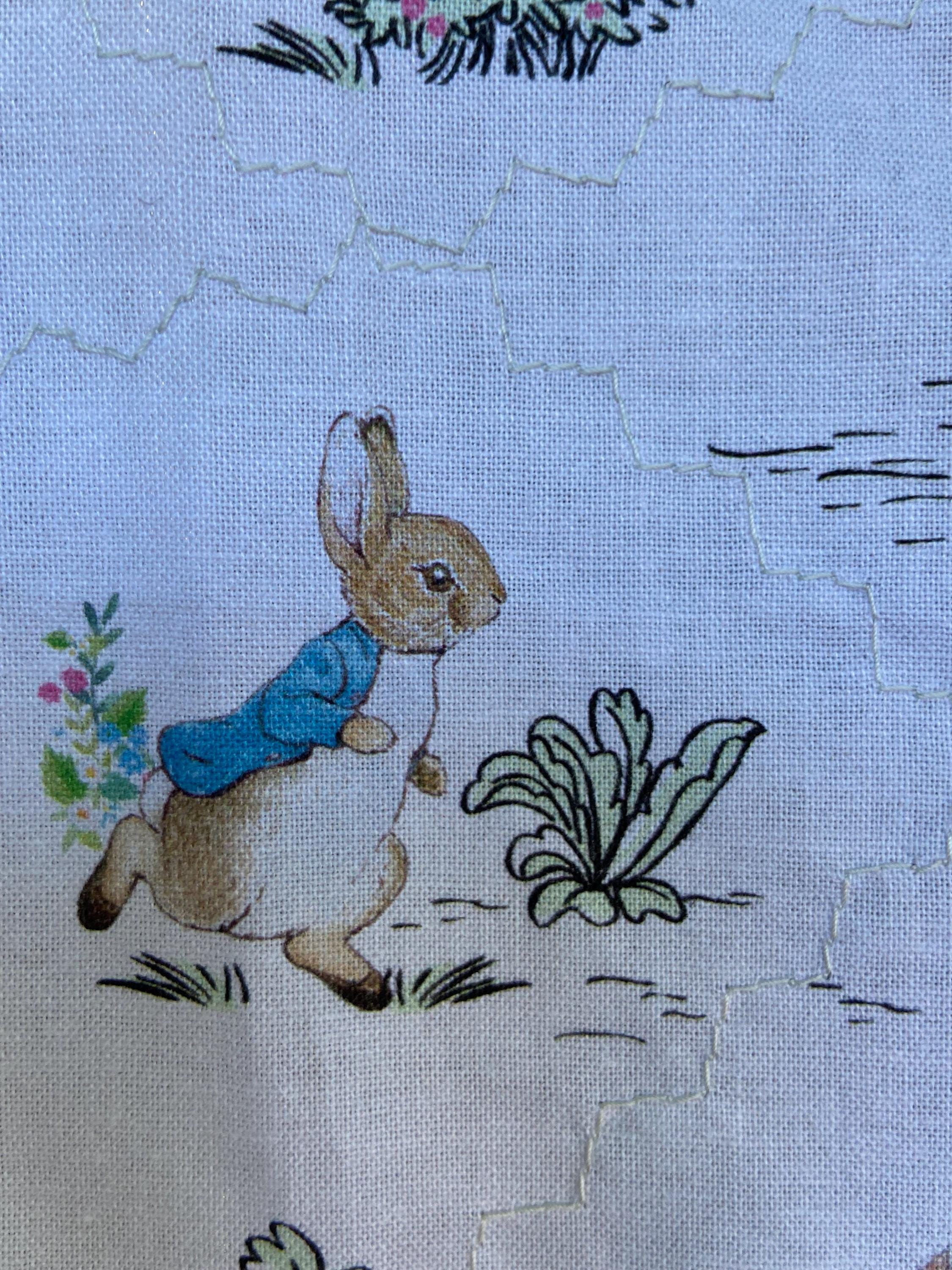 Peter Rabbit, Beatrix Potter Cotton Fabric - Etsy
