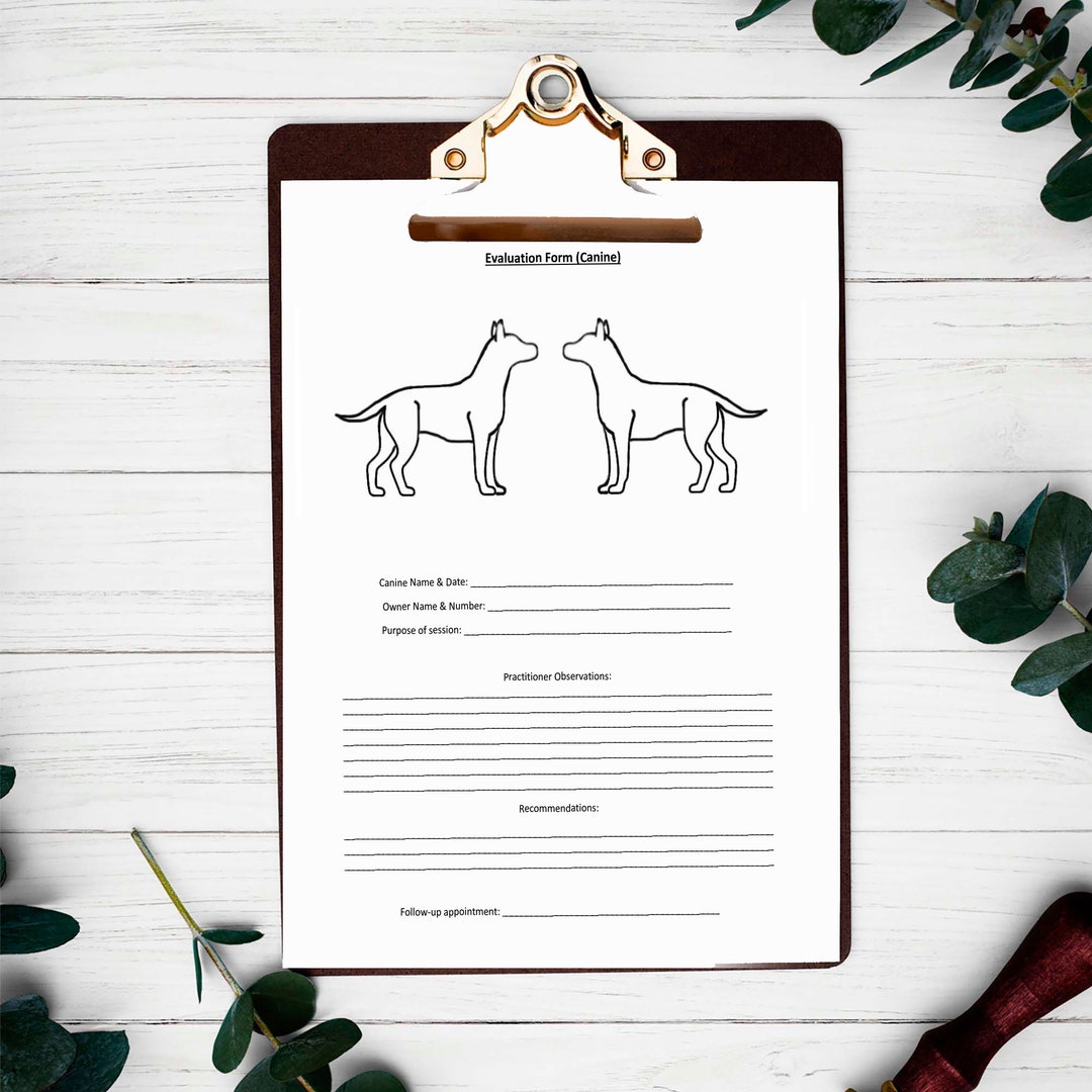 Canine Care Report Form Digital Download - Etsy Australia