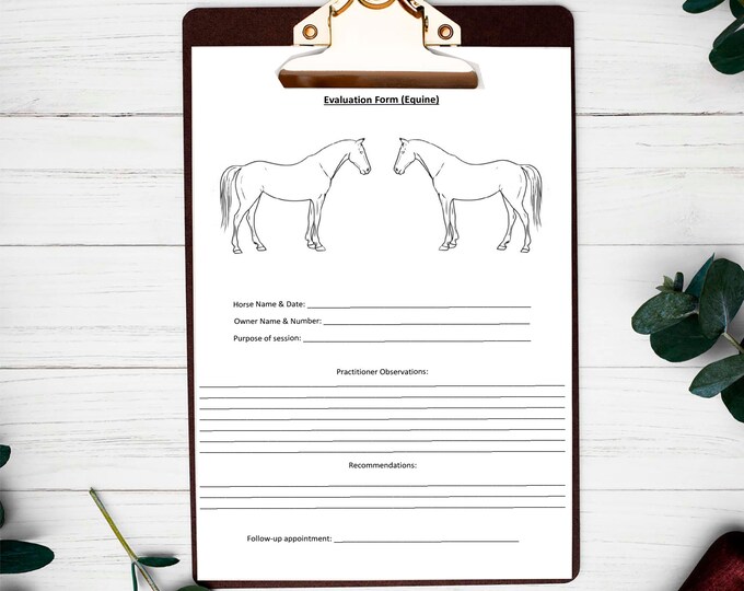 Equine Care Report Form Digital Download - Etsy