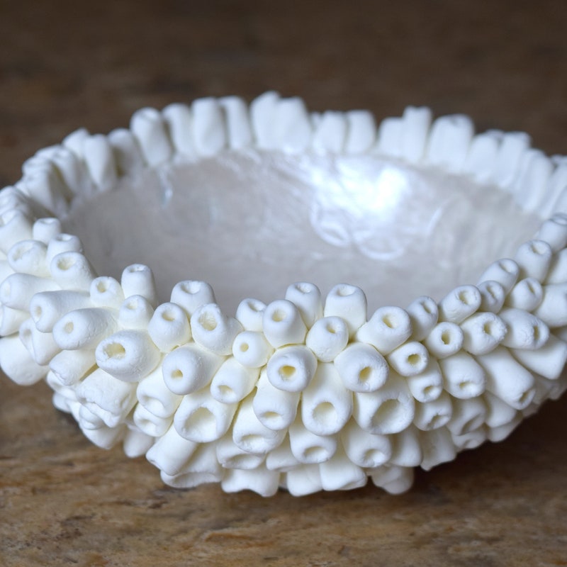 Coral Bowl - Etsy