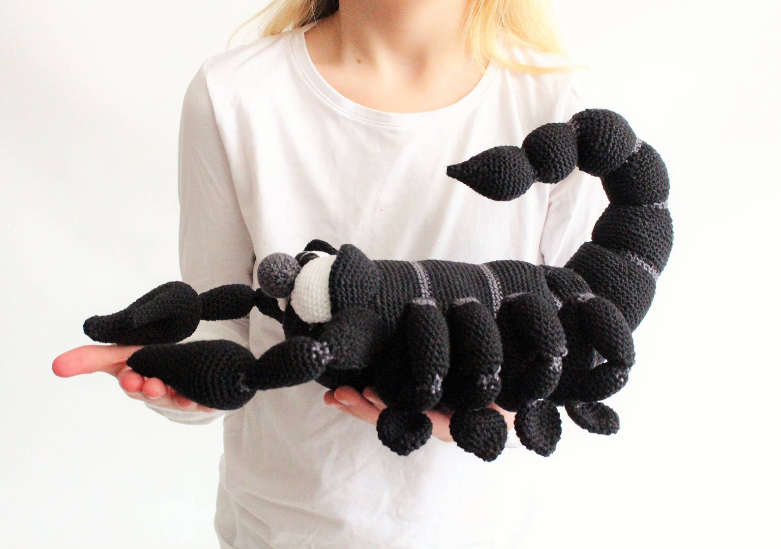 Cacti With Scorpions Crochet Pattern | Etsy