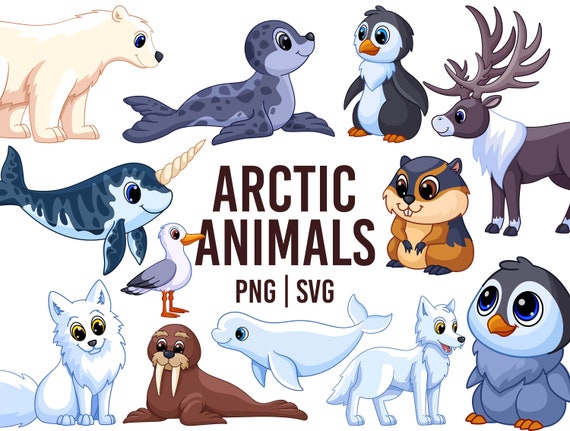 Arctic Ice Clip Art