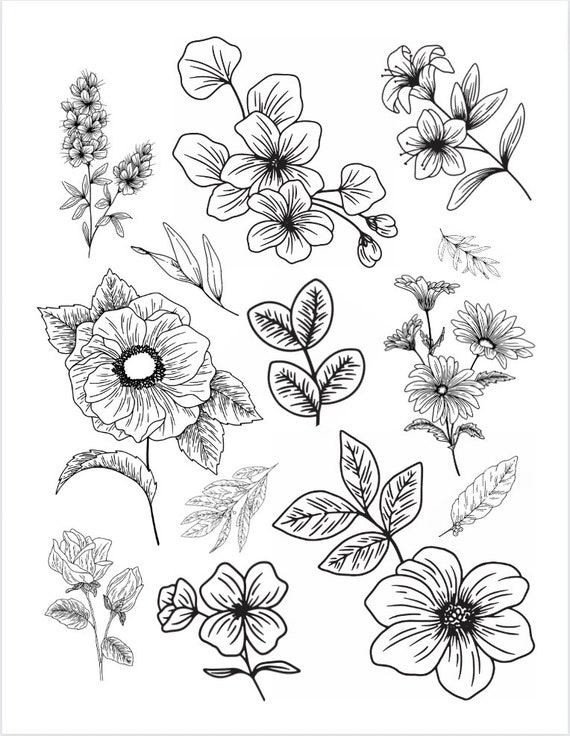 Floral Coloring Page - Etsy