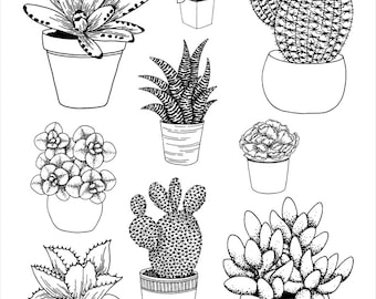 Boho Printable Coloring Page Succulent Coloring Page - Etsy