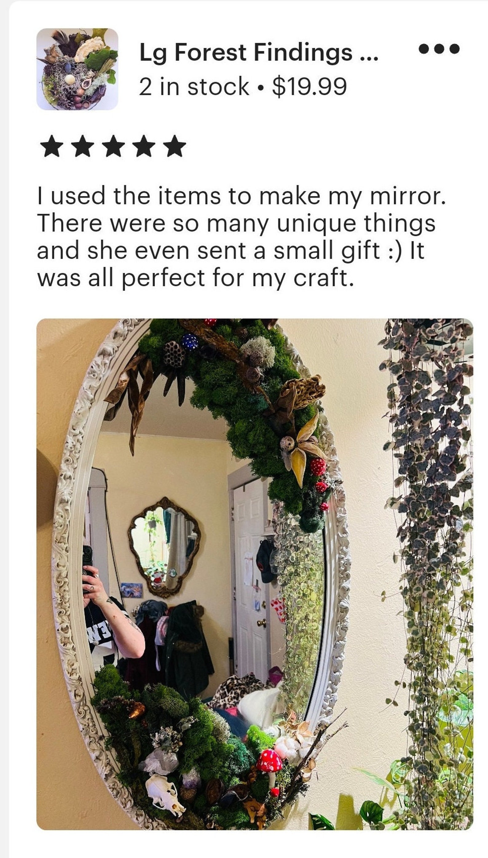 Lg Forest Findings Collection, Dried Botanicals, Forest Decor ...