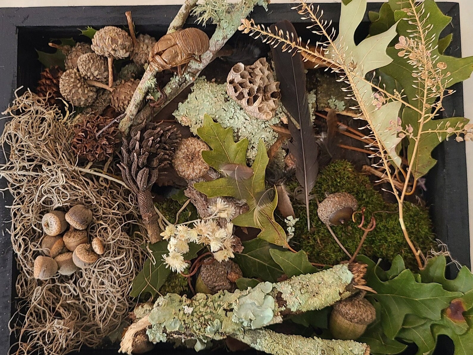 Lg Forest Findings Collection, Dried Botanicals, Forest Decor ...