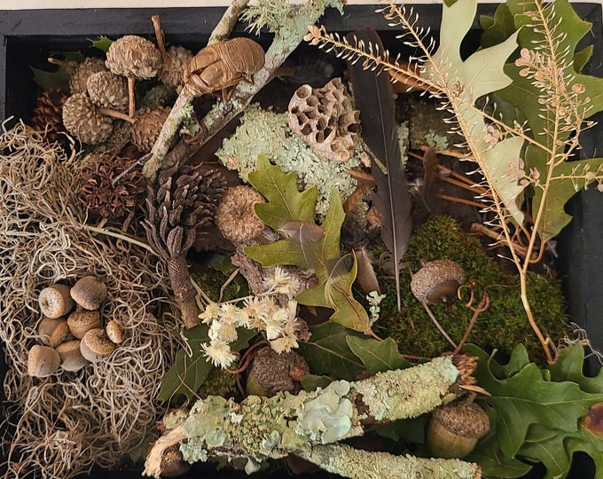 Lg Forest Findings Collection, Dried Botanicals, Forest Decor ...