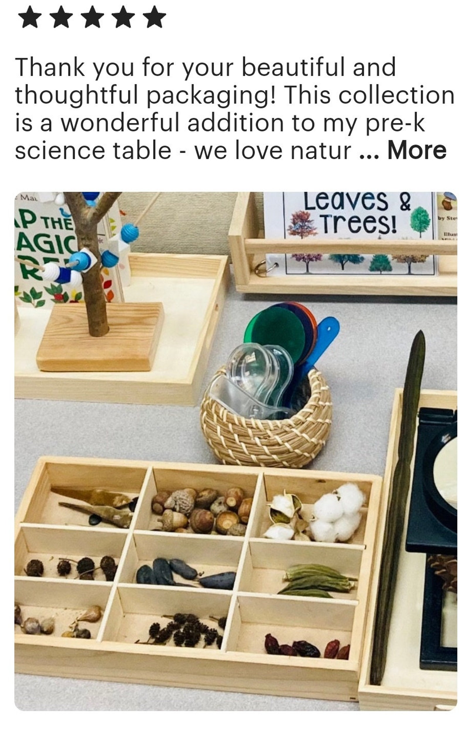 Lg Forest Findings Collection, Dried Botanicals, Forest Decor ...