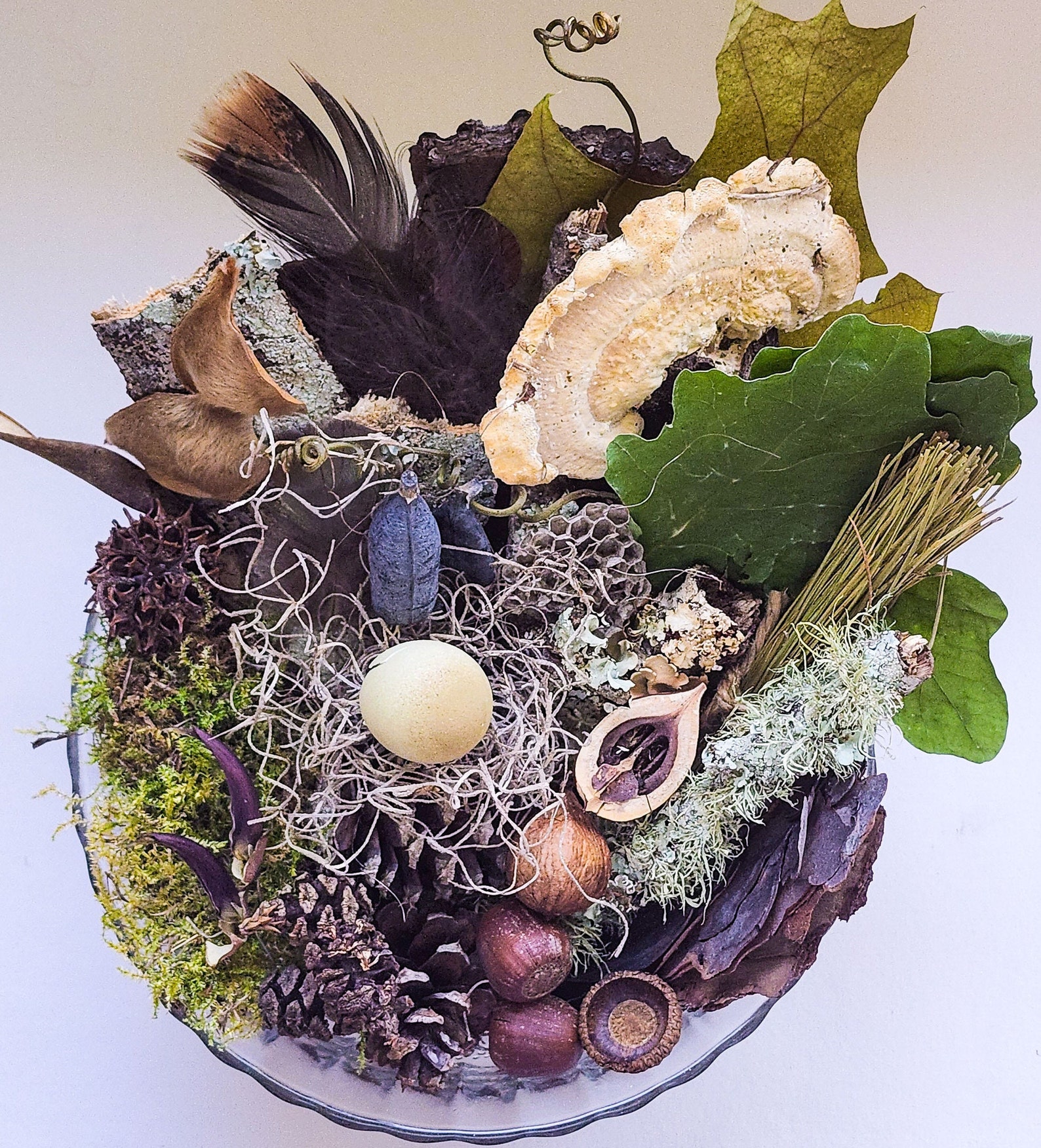 Lg Forest Findings Collection, Dried Botanicals, Forest Decor ...