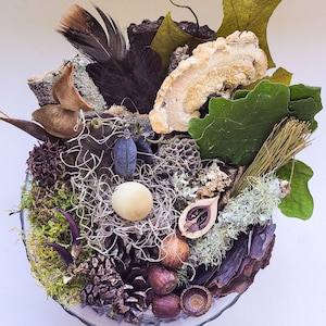 Forest Floor Kit, Forest Findings, DIY Kit for Adults, Nature Mystery ...