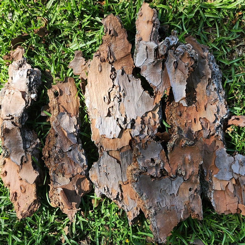 Tree Bark - Etsy