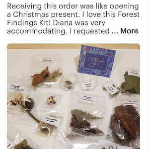 Forest Floor Kit, Forest Findings, DIY Kit for Adults, Nature Mystery ...