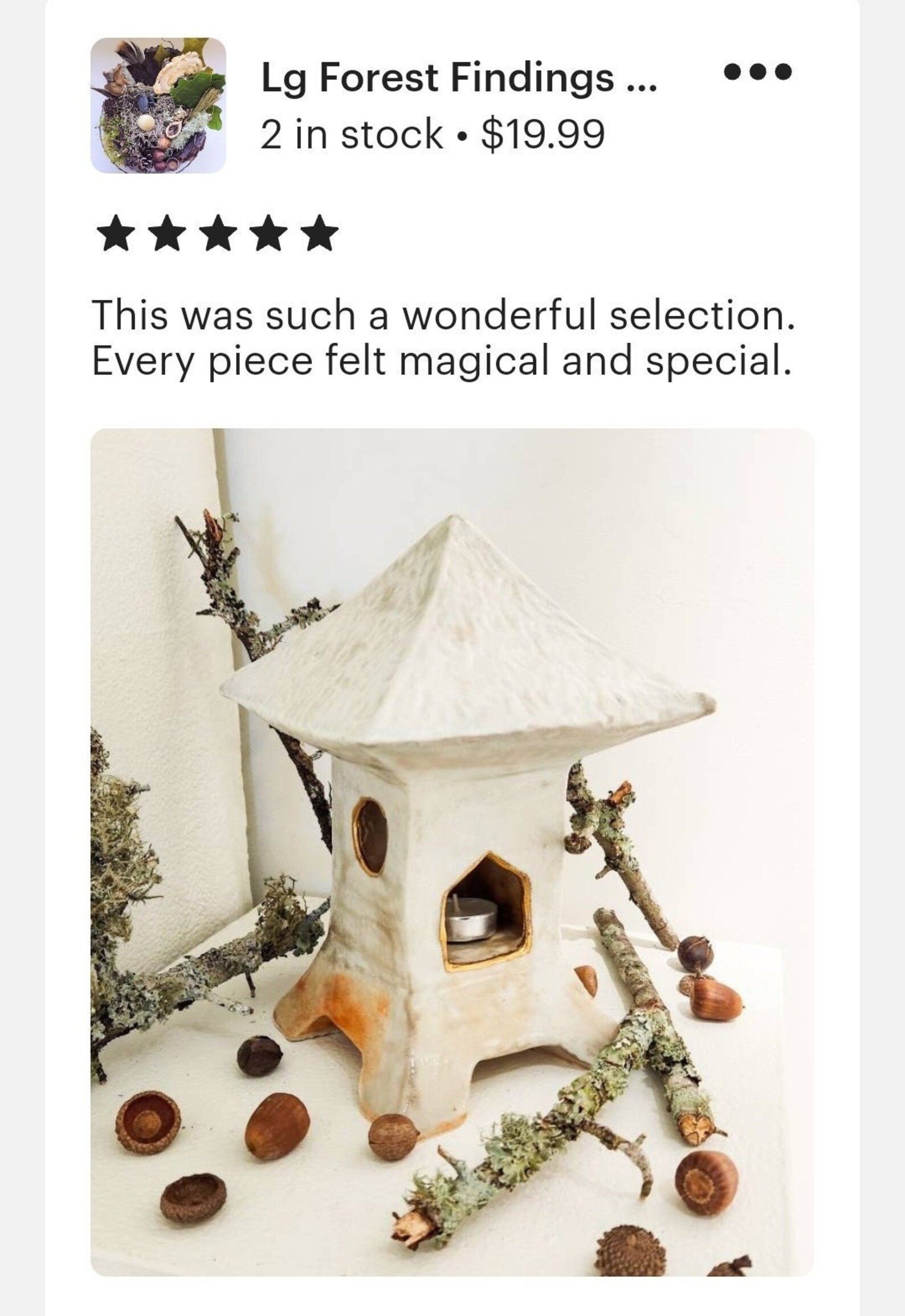 Lg Forest Findings Collection, Dried Botanicals, Forest Decor ...