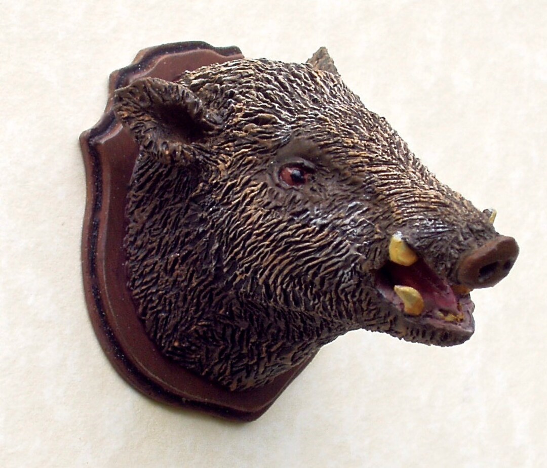 Boar Trophy Head , Real 1/12 Scale - Etsy