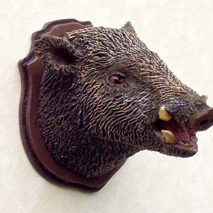Boar Trophy Head , Real 1/12 Scale - Etsy