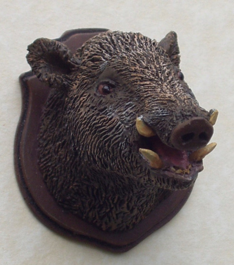 Boar Trophy Head Real 1/12 Scale - Etsy