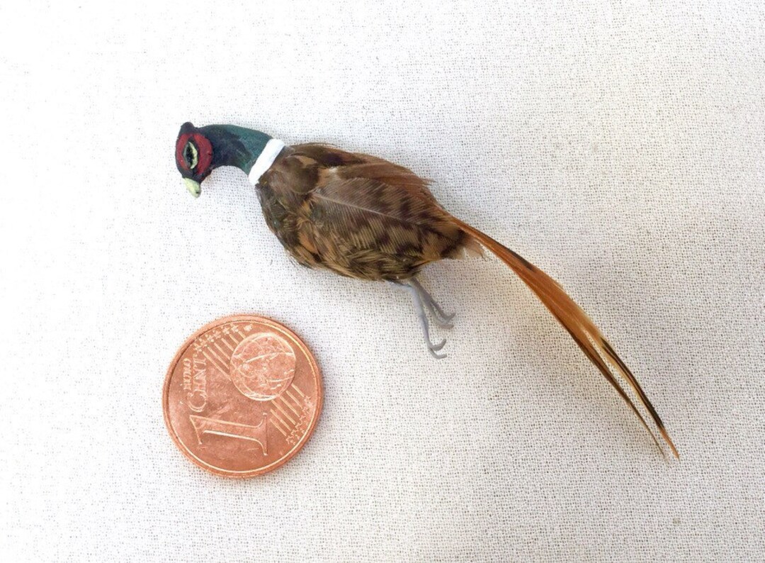 Miniature Pheasant, 1/12 Scale, in Painted Resin and Feathers - Etsy