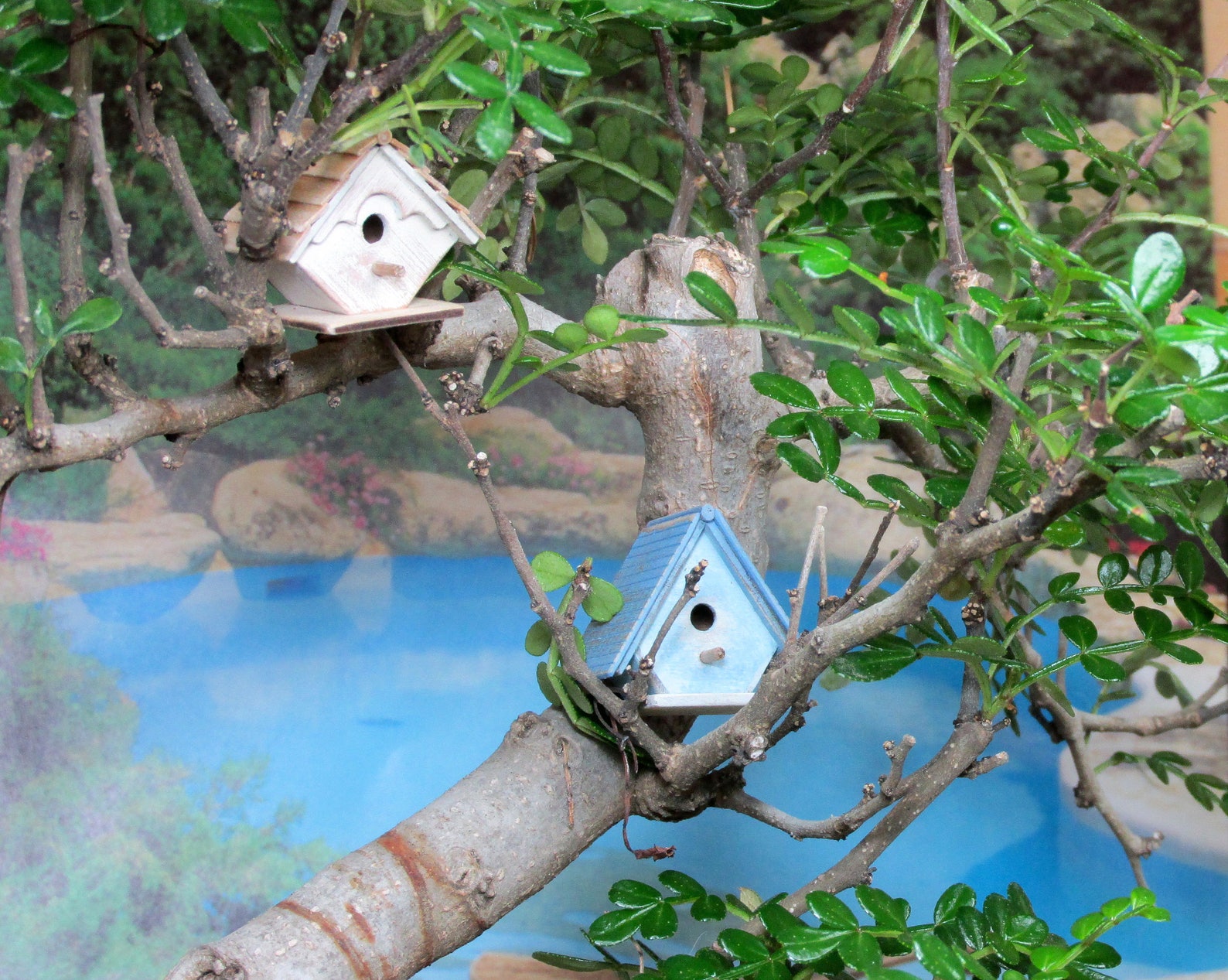 Pretty Bird Houses, Handmade in Wood, Various Models and Colors, 1/12 ...