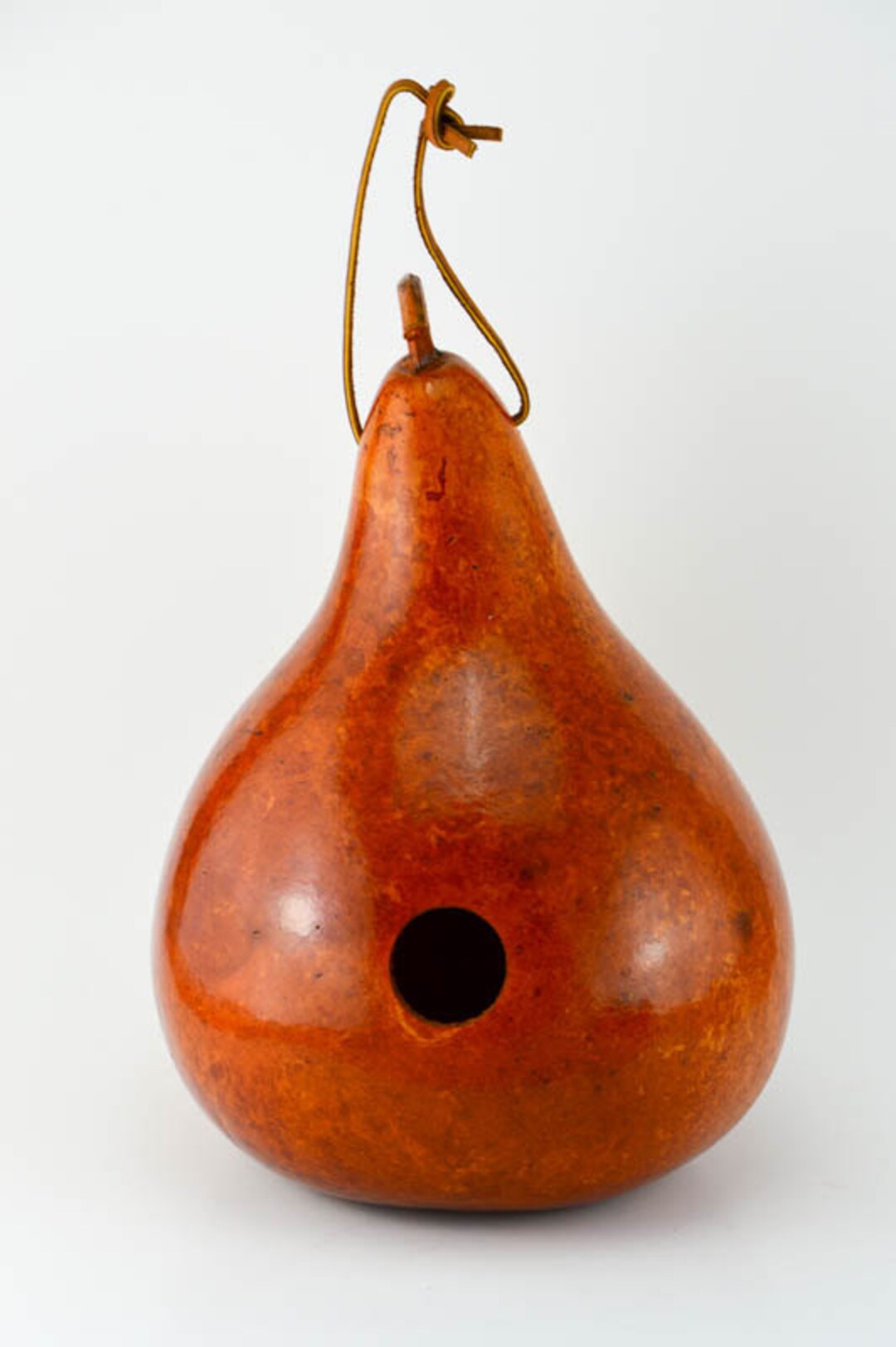 Gourd Birdhouse - Tan - Dyed Gourd - Etsy