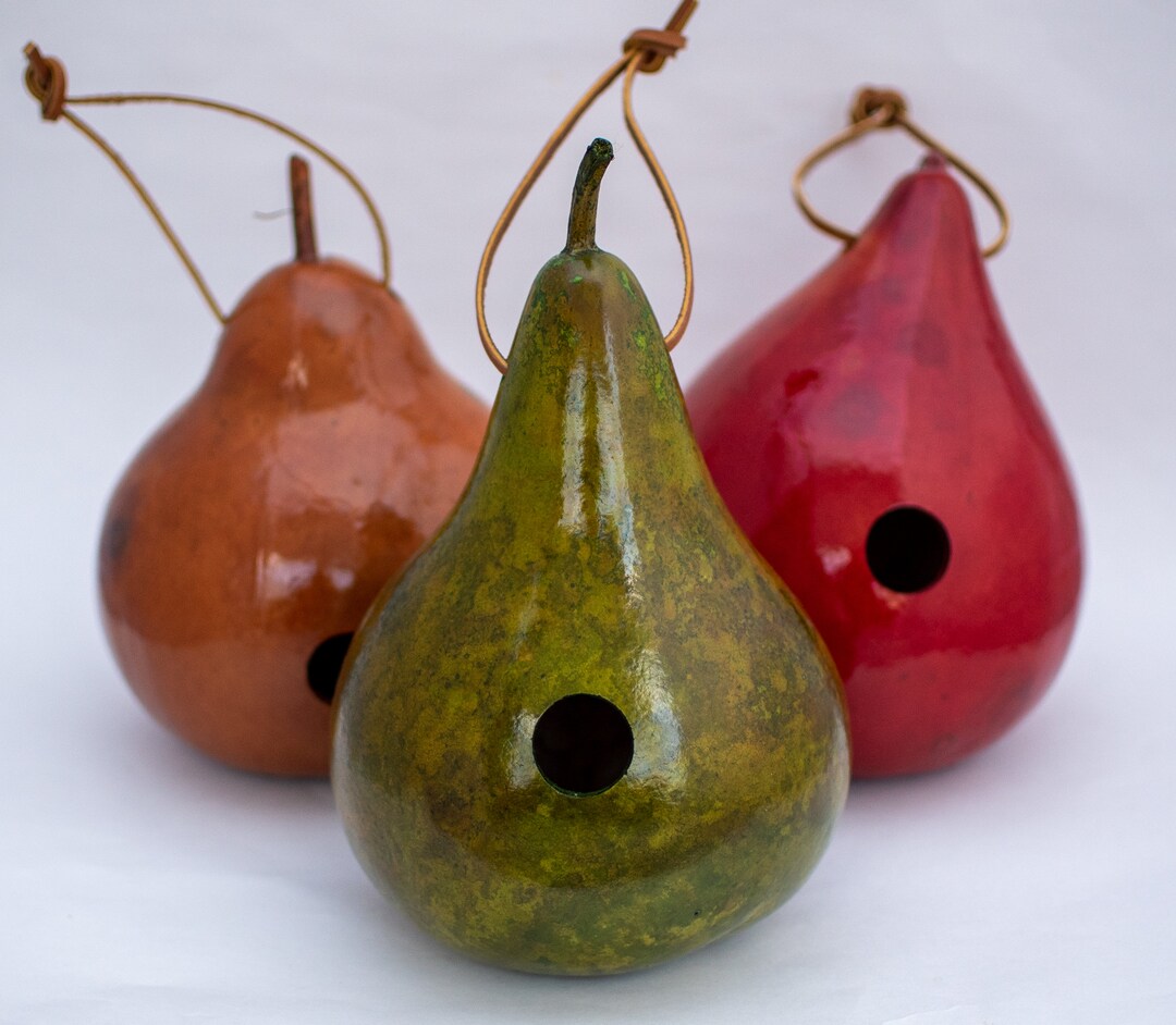 Wren House, Gourd Birdhouse, Red, Light Green, Tan - Etsy