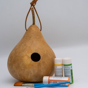 DIY Gourd Birdhouse Craft Project: Paint Ready (9-11" Tall) - Etsy