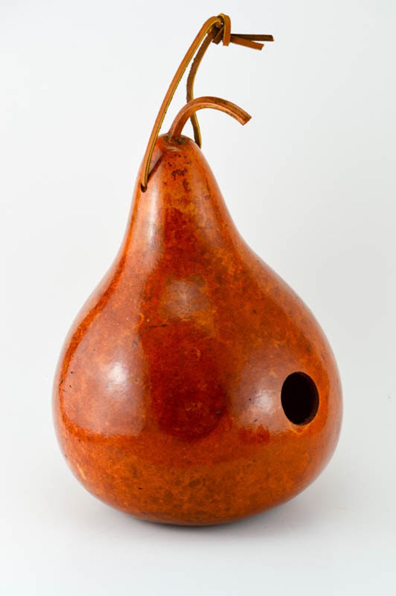Gourd Birdhouse - Tan - Dyed Gourd - Etsy