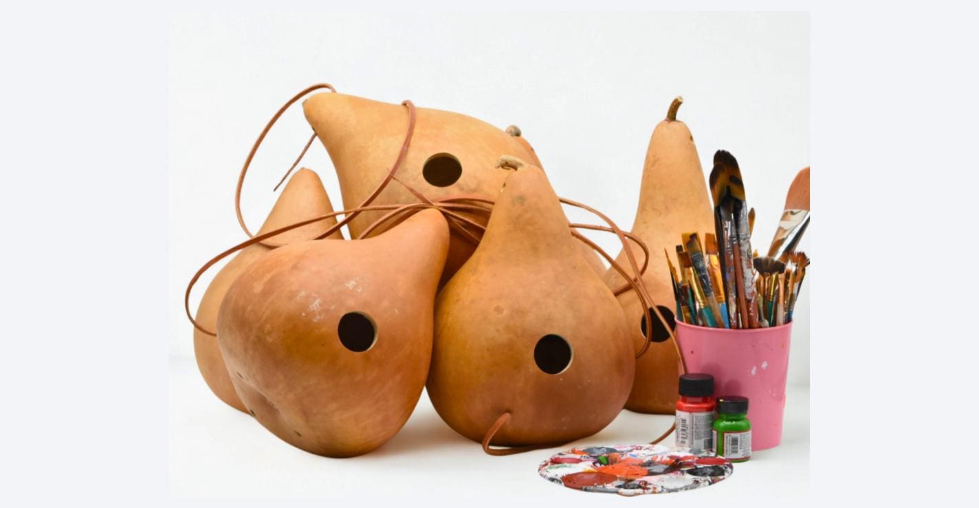DIY Gourd Birdhouse Craft Project: Paint Ready (9-11" Tall) - Etsy
