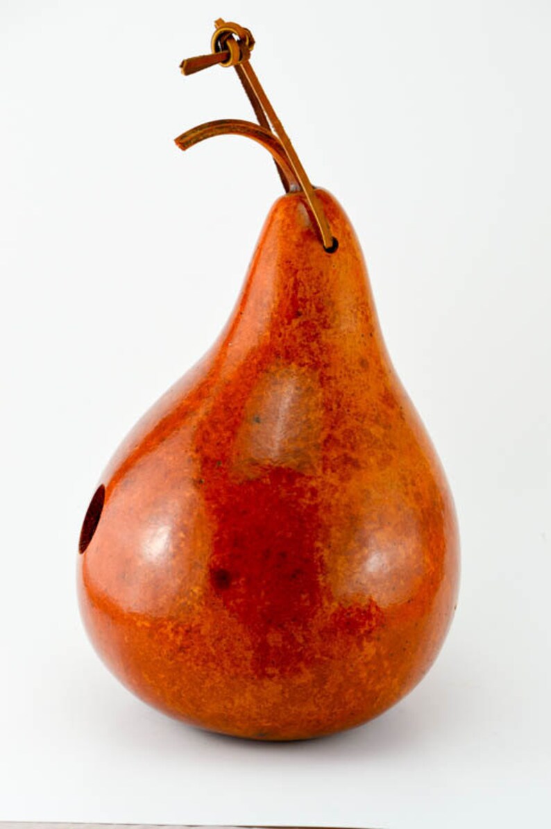 Gourd Birdhouse - Tan - Dyed Gourd - Etsy