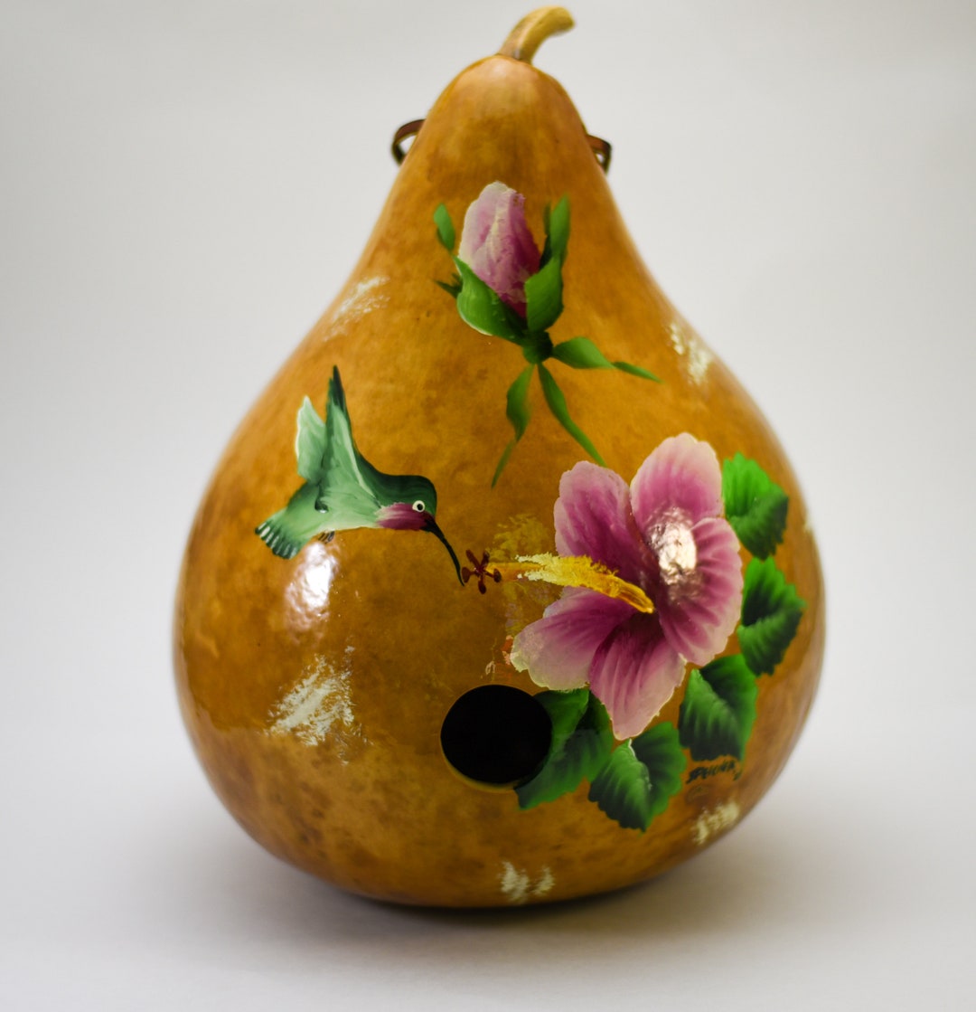 Hummingbird and Hibiscus Gourd Birdhouse - Etsy UK