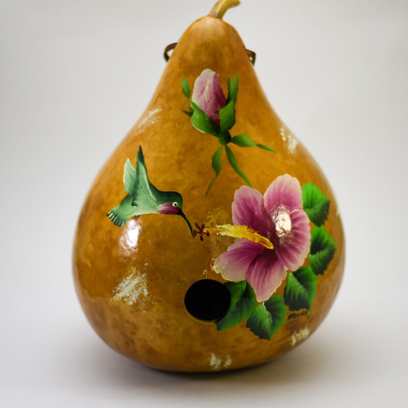 Hummingbird Gourd - Etsy