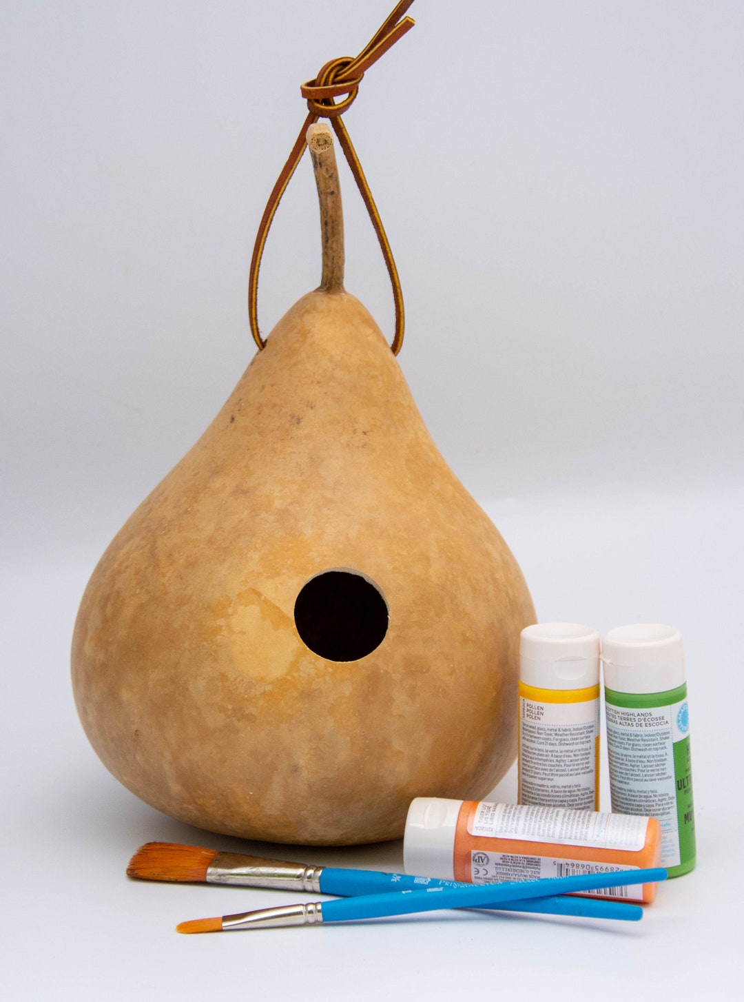 Gourd Craft Project - DIY Gourd Birdhouse - Paint a Gourd - Craft Ready ...