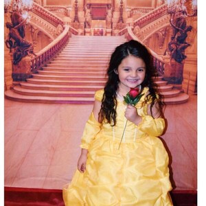 Princess belle dress Beauty and the beast princess Belle | Etsy