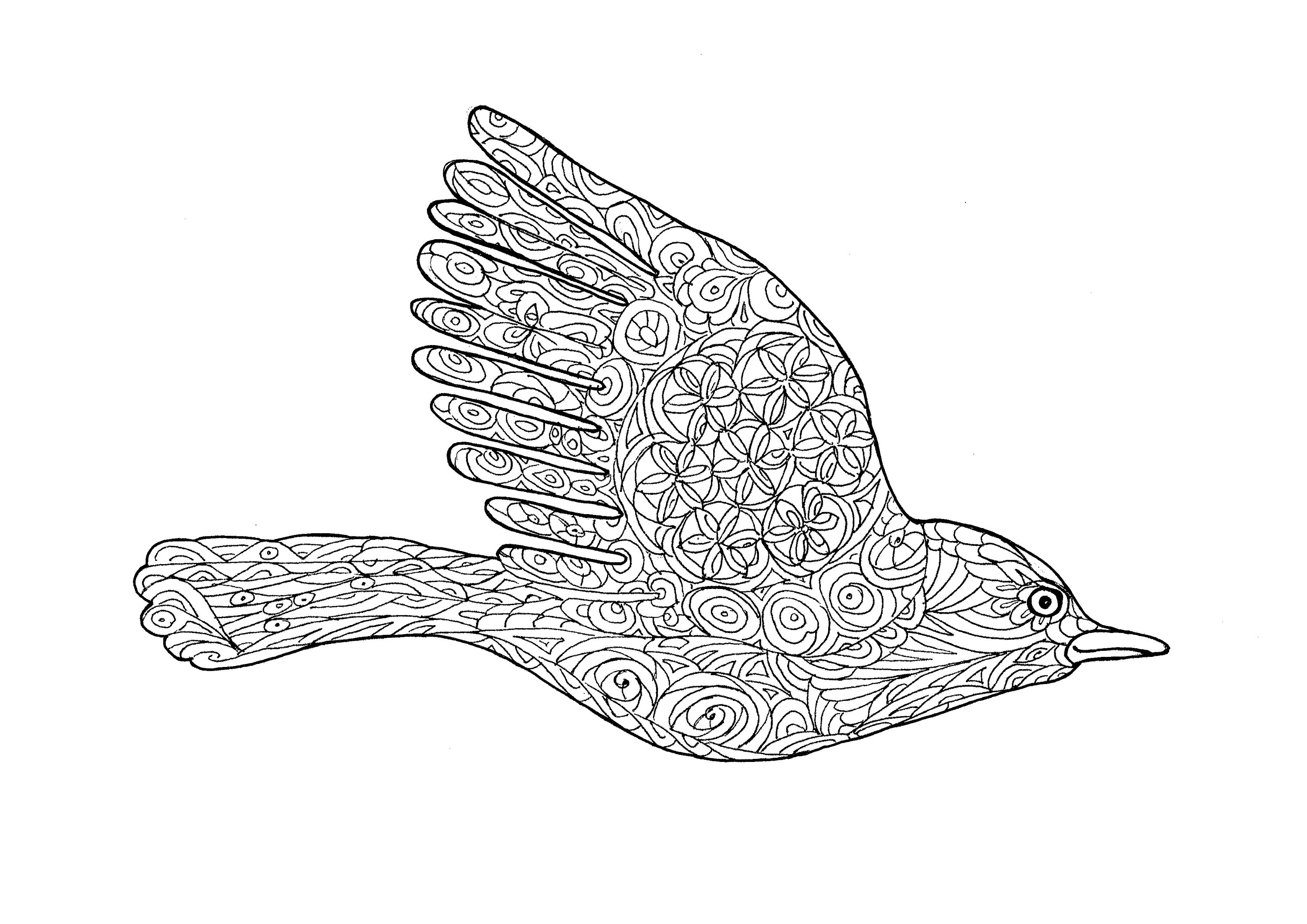 Printable Coloring Pages Zentangle Bird Drawings Bird - Etsy
