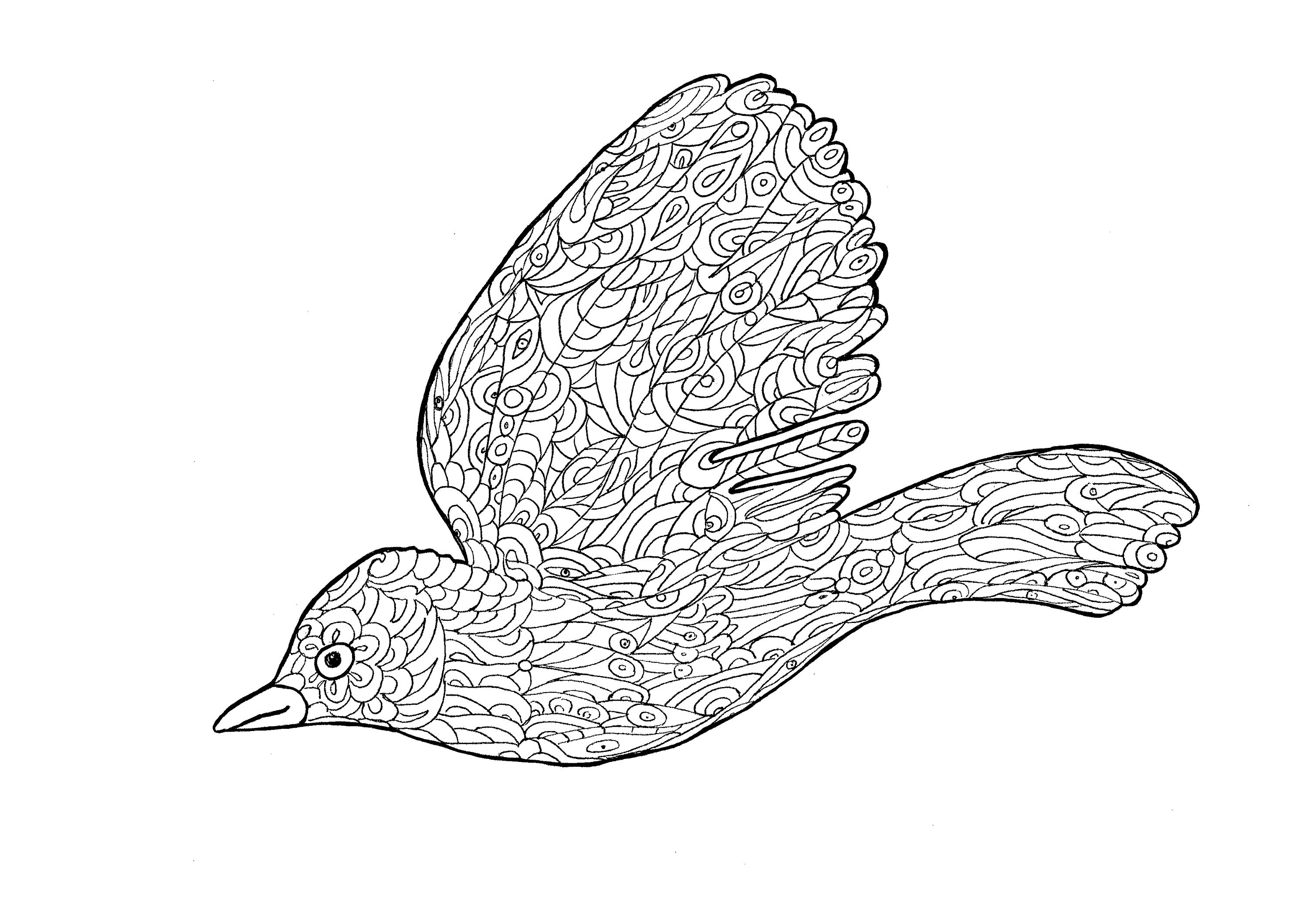 Printable Coloring Pages Zentangle Bird Drawings Bird - Etsy