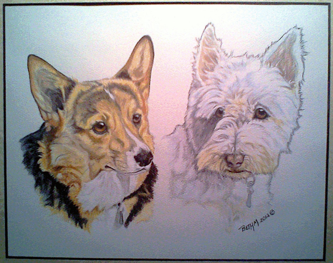 Retrato de perro en lápiz de color, retrato de perro realista, retrato ...