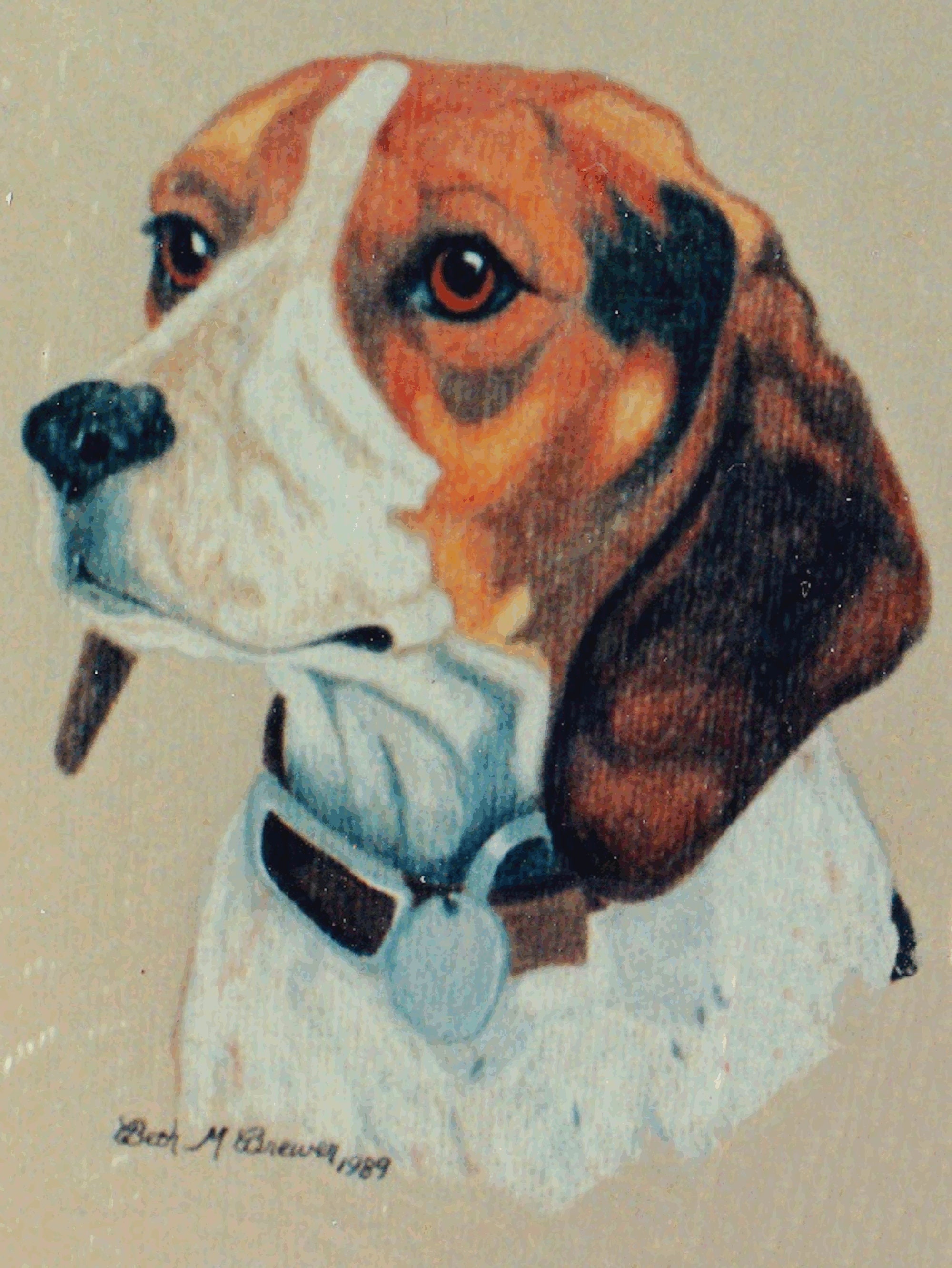 Retrato de perro en lápiz de color, retrato de perro realista, retrato ...