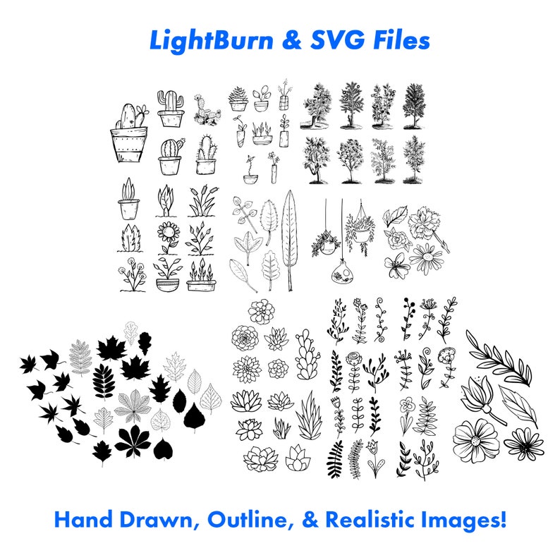 350+ Floral SVG Designs: Hand-drawn Flowers, Plants, Foliage, Lightburn ...