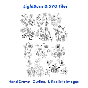 350+ Floral SVG Designs: Hand-drawn Flowers, Plants, Foliage, Lightburn ...
