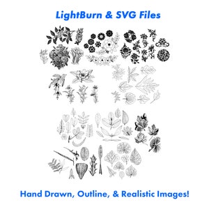 350+ Floral SVG Designs: Hand-drawn Flowers, Plants, Foliage, Lightburn ...
