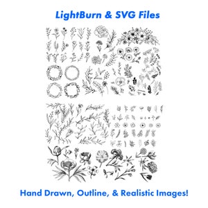 350+ Floral SVG Designs: Hand-drawn Flowers, Plants, Foliage, Lightburn ...