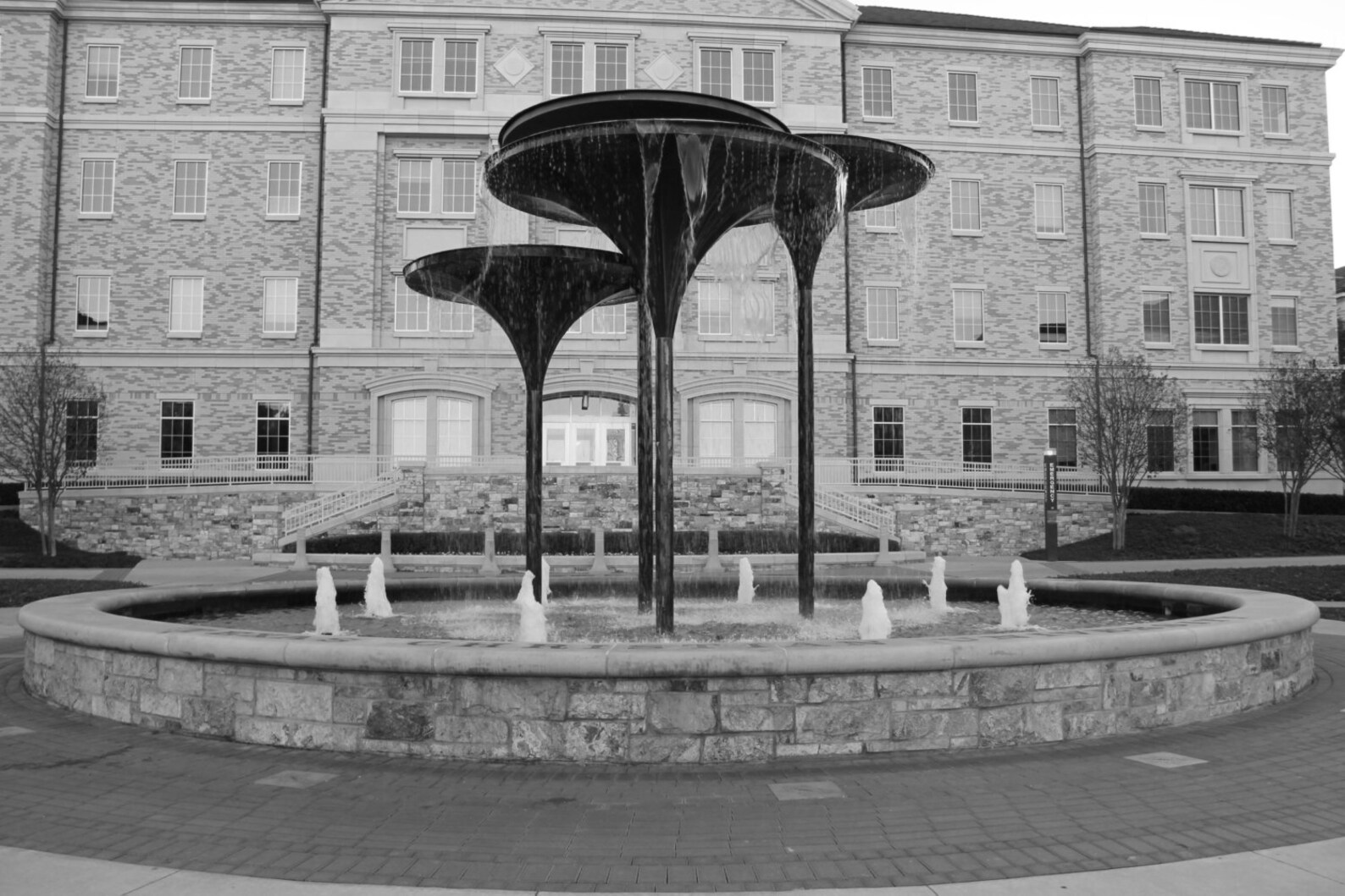 TCU Frog Fountain in Shades of Gray - Etsy