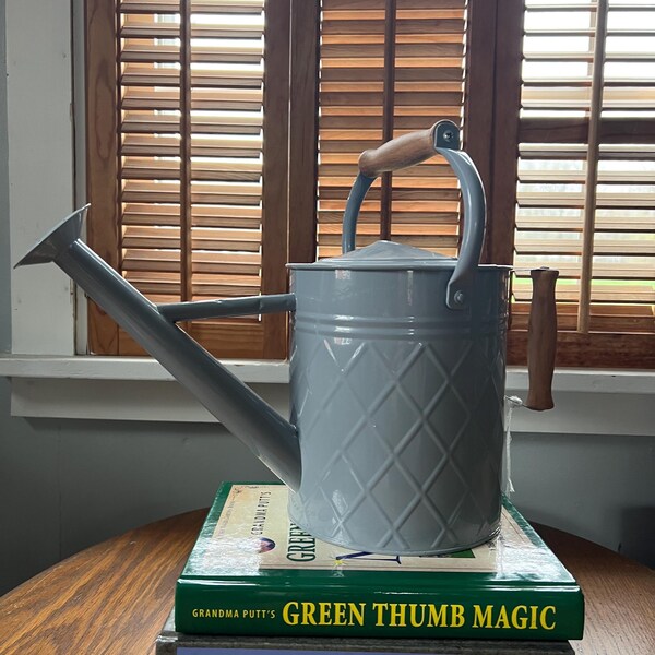 Painted Watering Can - Etsy