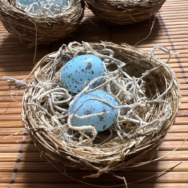 Decorative Bird Eggs - Etsy