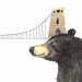 Clifton Suspension Bridge Bears A6 Greetings Card: Bristol UK - Etsy UK